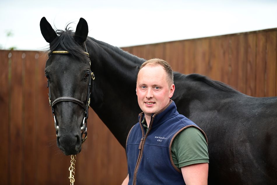 Xxxx chinese as soon as Pinkfox had moved around Seattle, I