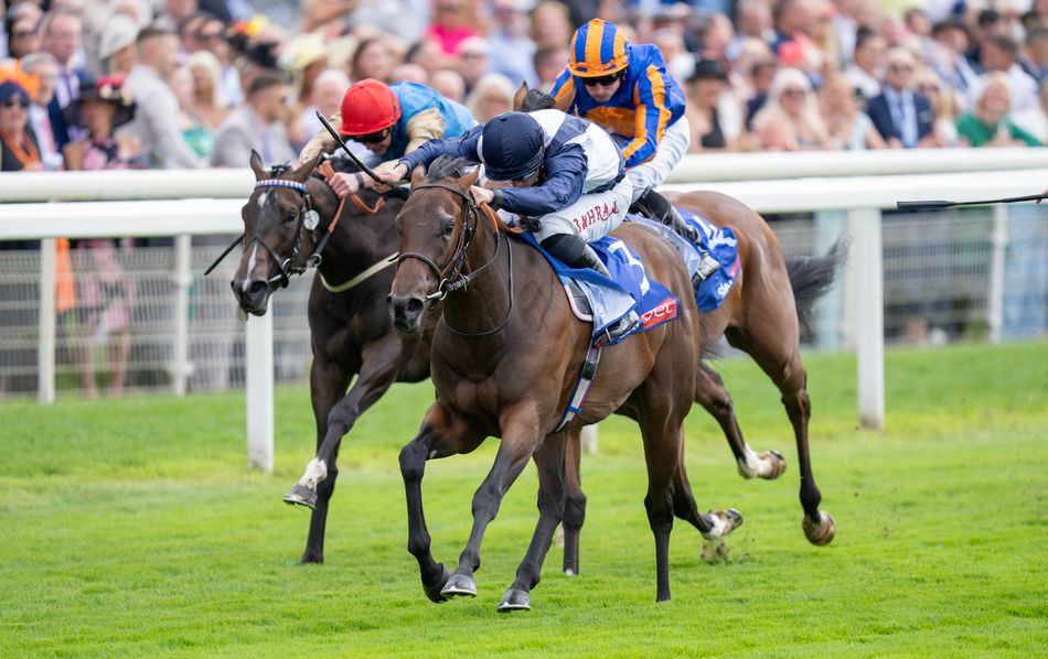 Celandine not for passing as she makes all the running under Tom ...