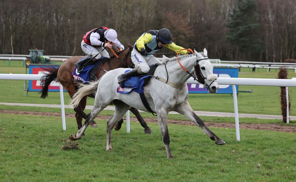 'He's been a tremendous horse' - Wakool proves his worth in the ...