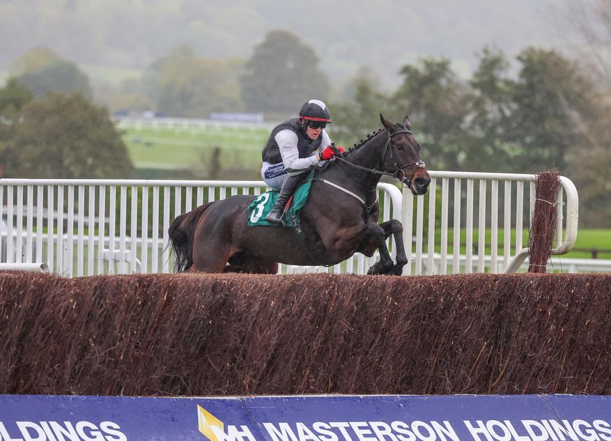 Dual Stayers' Hurdle star Flooring Porter dazzles on chasing debut at ...