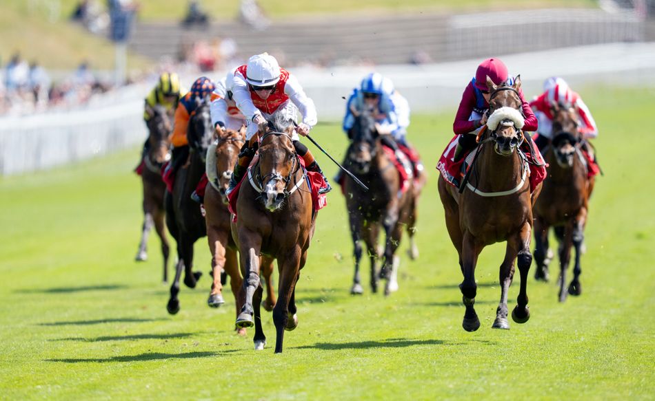 'Let's hope she's on the golden highway' - Ruby's Profit bids to ...