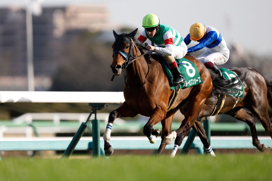 Christophe Lemaire: Through Seven Seas run behind Equinox needs to be ...