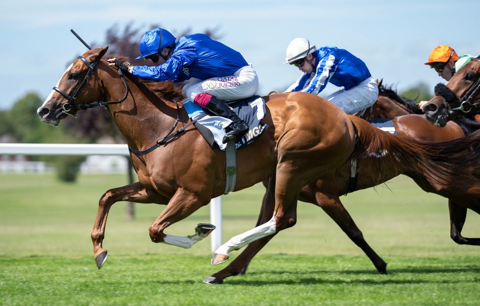Champions Day target 'could really suit' impressive Scurry Stakes ...