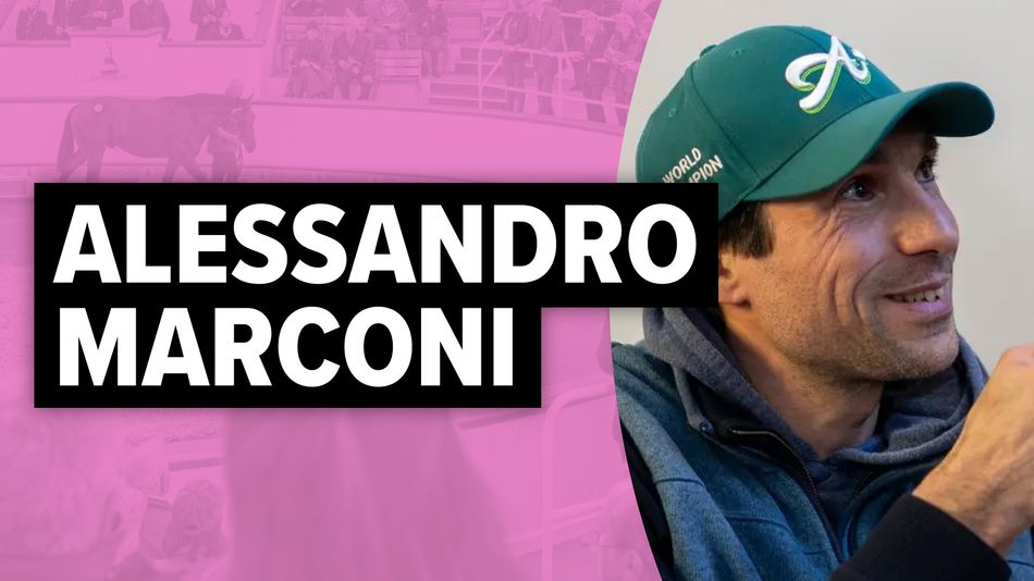 'We must focus on the future just as much as breeders' | Racing Post