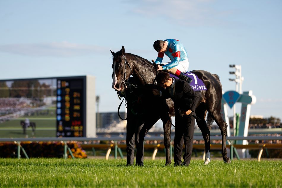 'He really is the perfect horse' - Japanese star Equinox a class apart ...