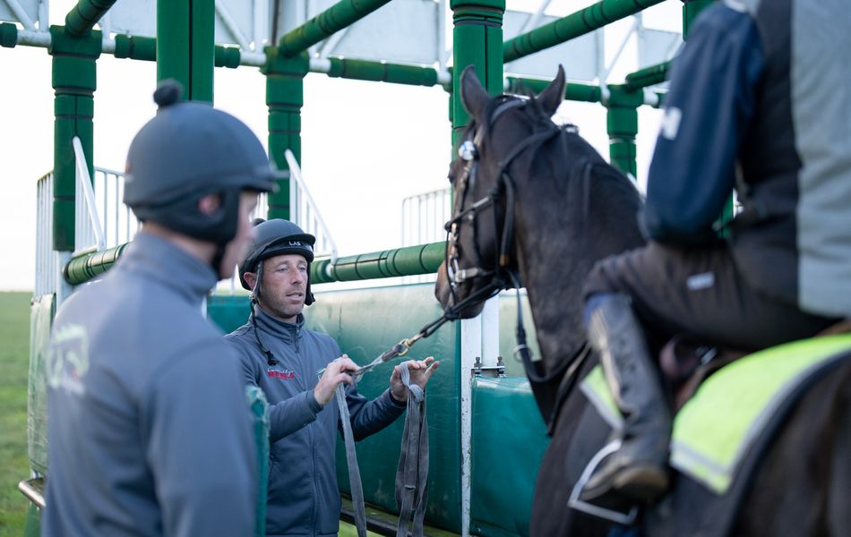 'Is the horse claustrophobic, nervous or just taking the mickey? That's ...