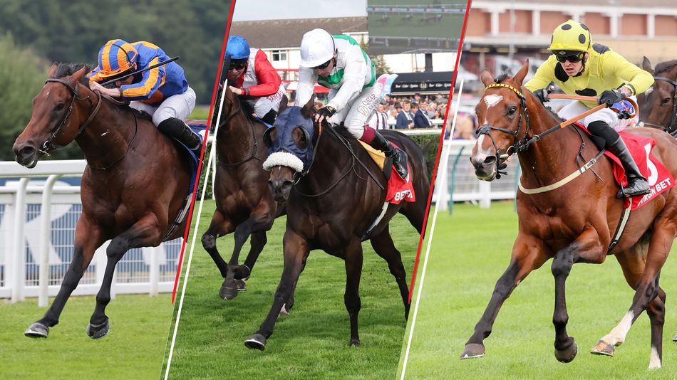 'His second behind Ace Impact was a solid effort' - why this horse can ...