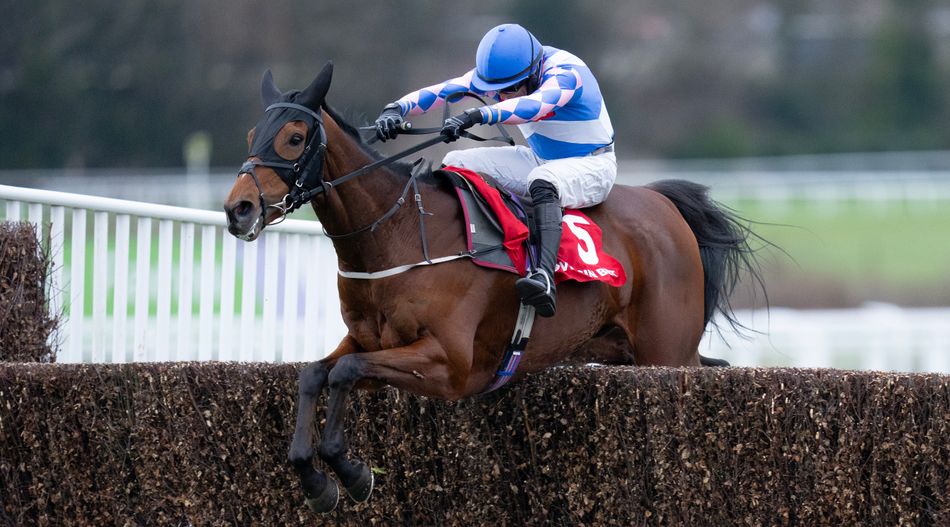 Nickle Back provides James Best and Sarah Humphrey with memorable Grade ...