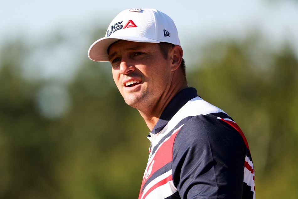 Ryder Cup player profiles: Steve Palmer's guide to Team USA | Racing Post