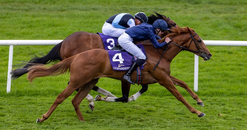 'She is the highest-rated filly in the race and she has a big chance ...