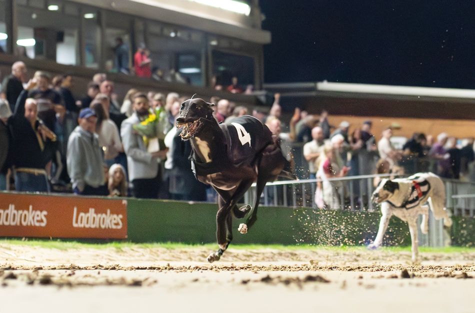 Locke team set sights on Winter Derby with Monmore hero Dane | Racing Post