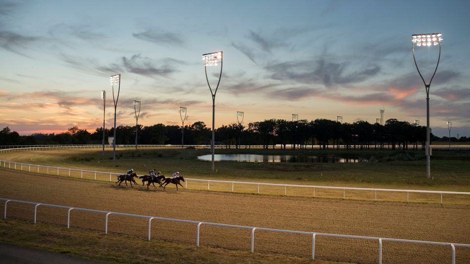 Never heard of Aiden Brookes, Mason Paetel or Jack Morland? They could ...