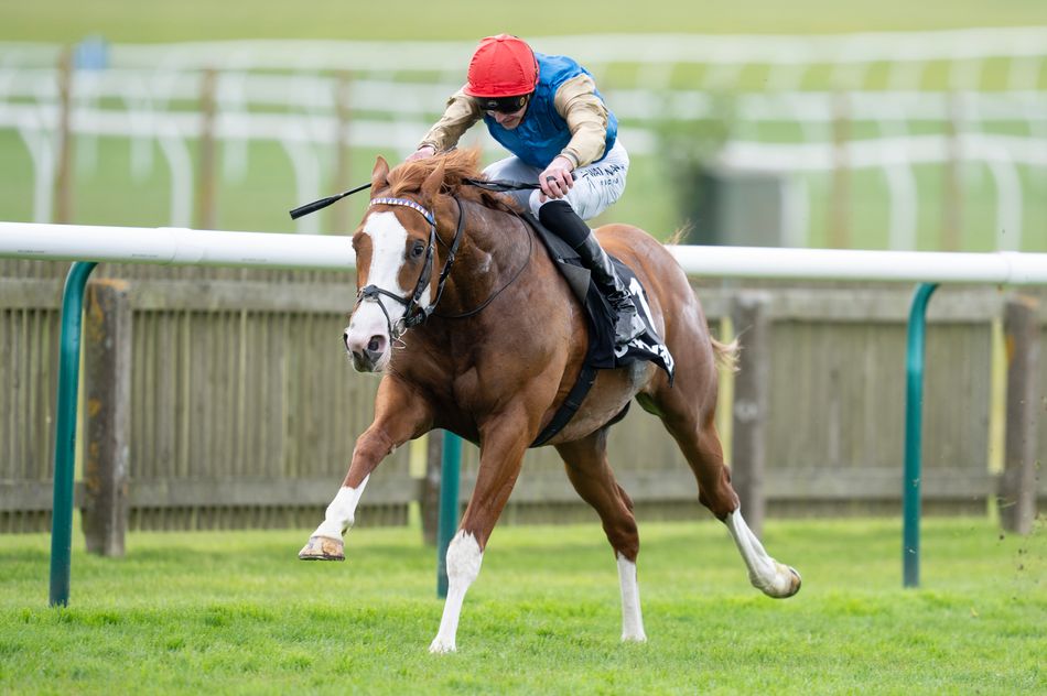 Confirmed runners and riders for a blockbuster Lockinge Stakes at ...