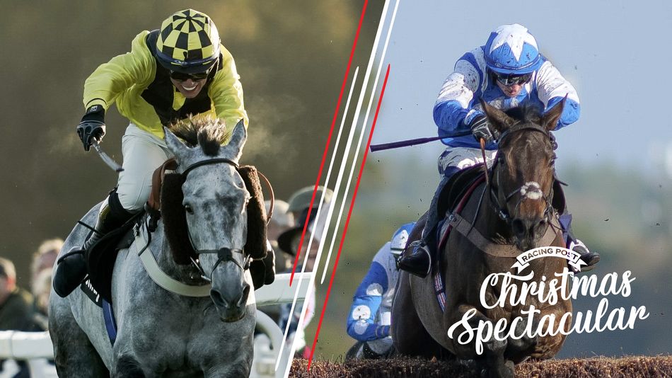 Is there any stopping in-form Boothill? Key quotes and analysis as ...