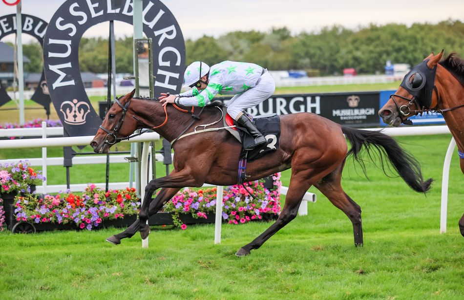 Musselburgh leads the way as Showcase Awards finalists are revealed ...