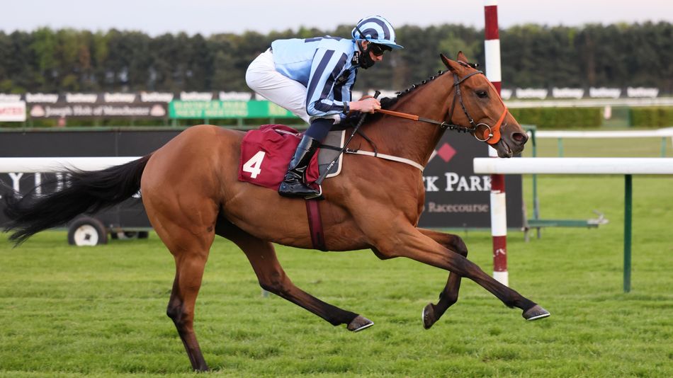 'That just shows you how good he is' - Tashkhan a muddy marvel for ...