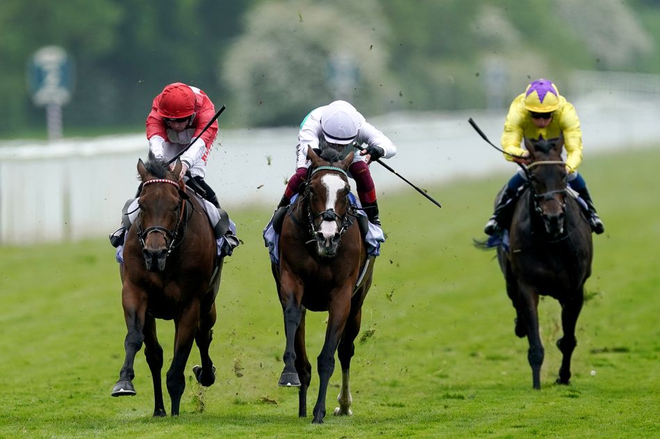 'The stewards got it right this time' - Free Wind holds on for dramatic ...