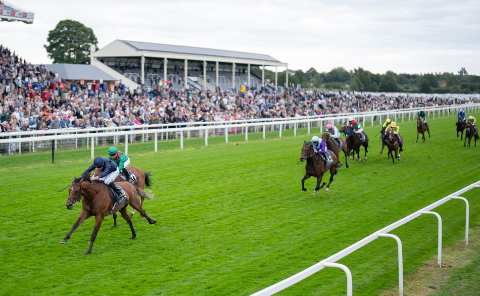 City Of Troy gallop expected to draw 1,500 spectators as demand exceeds ...