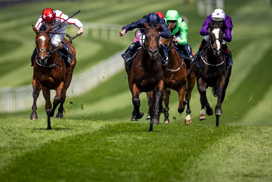 'We think both will leave their Ascot runs behind them' - Ryan Moore ...