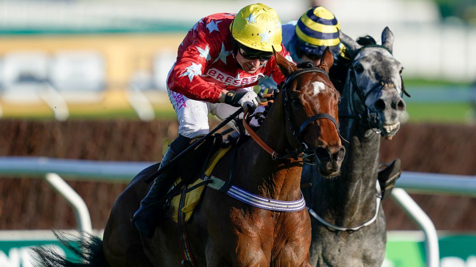 Older horses in novice races doesn't sit well with me - and here's how ...