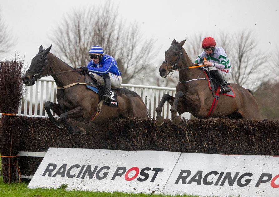 Ile Atlantique slashed into single figures for the Arkle after ...