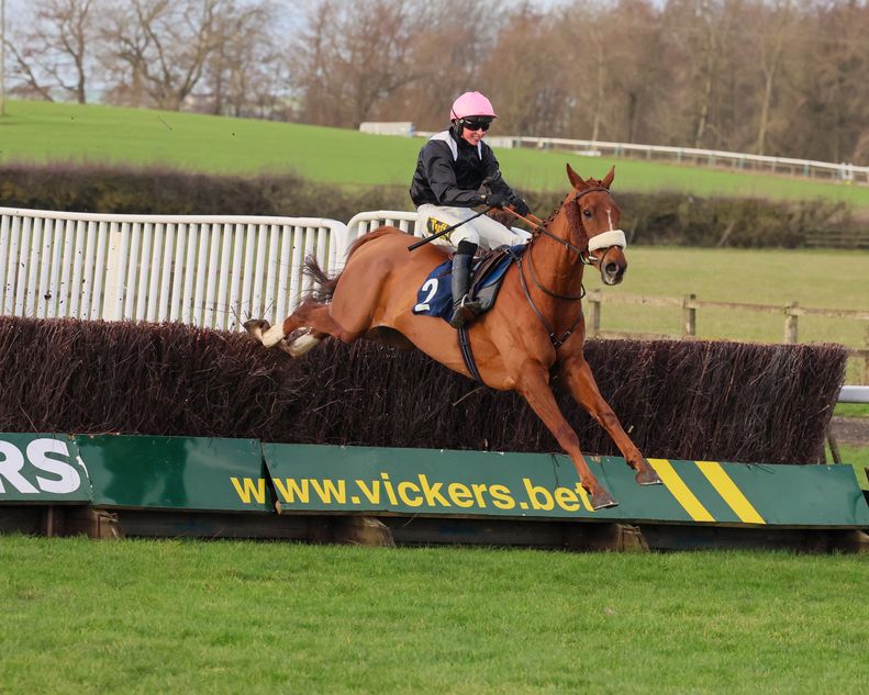 'We've made the journey worthwhile' - Neil Mulholland's brilliant run at Sedgefield continues as ...