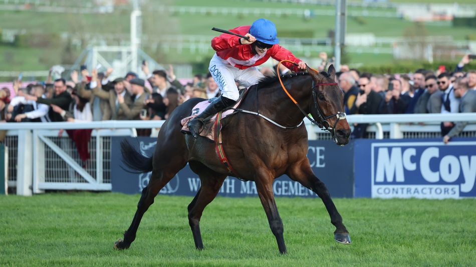 'A Plus Tard is back' - De Bromhead takes positives from unlucky Gold ...