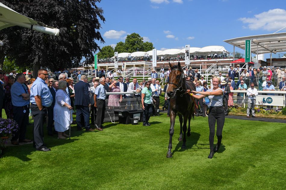 Now for something a little bit different: a 99-year-old selling race at ...