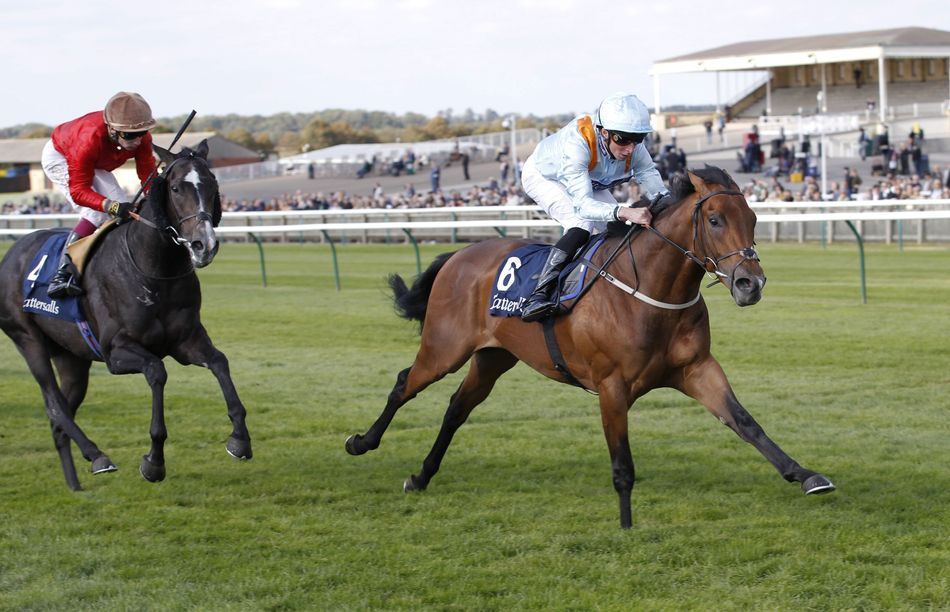 'I've seen it all now' - Middleham Park amazed as The Dragon King rules ...