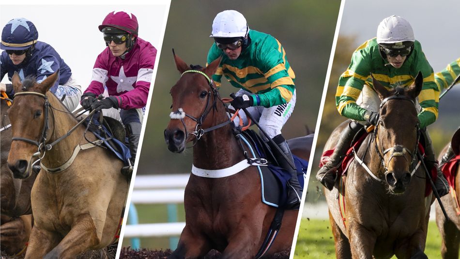 'We have a nice team for this' - Better Days Ahead leads Gordon Elliott ...