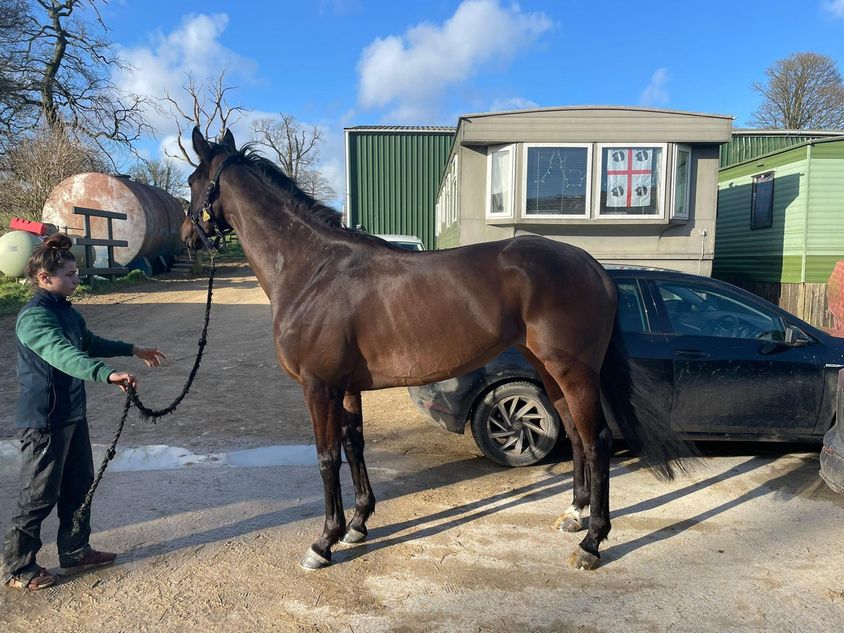 Promising Hereford winner Crying Lightning tops ThoroughBid February ...
