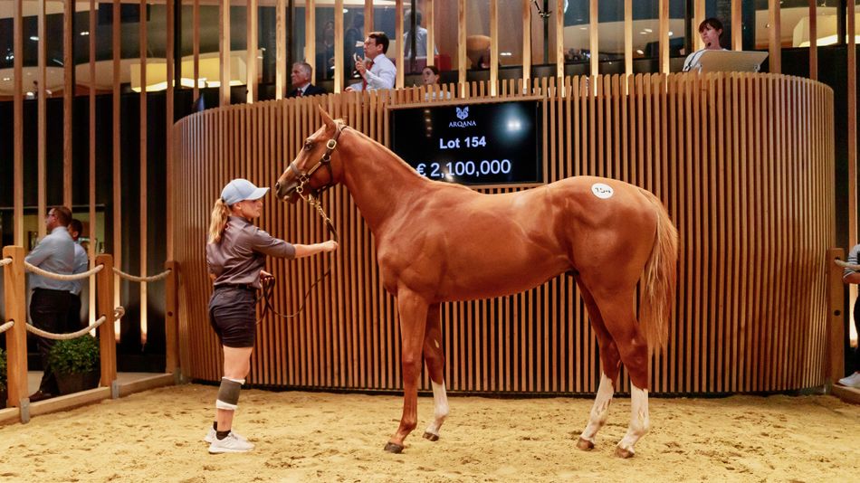 Siblings to 18 Group 1 winners among a sparkling Arqana August Yearling ...