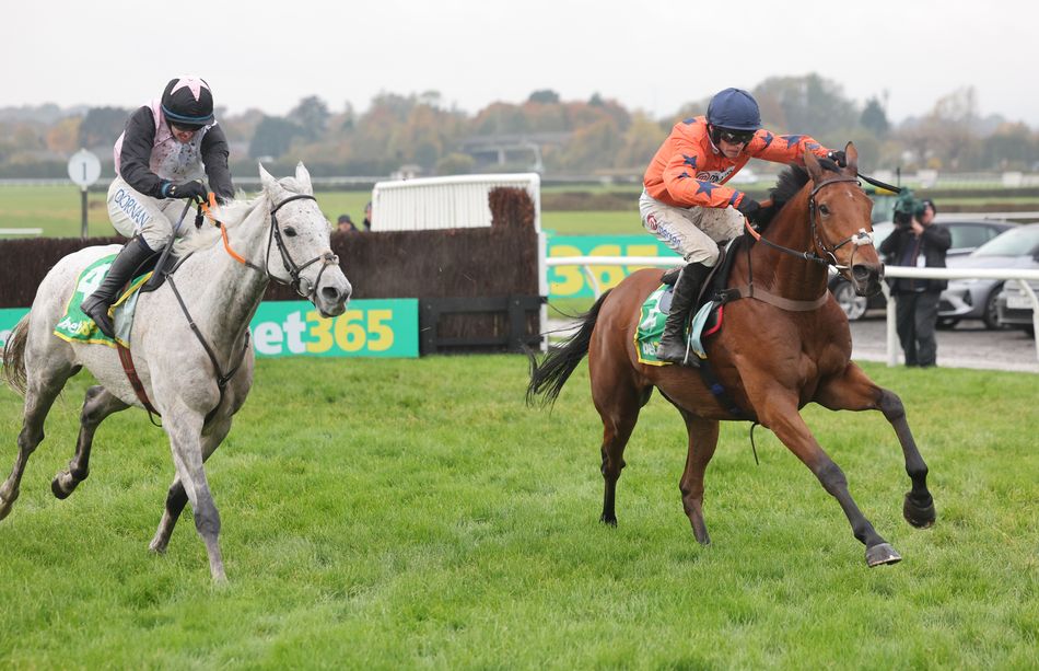 Big-race analysis: Bravemansgame did no harm to his King George chances ...