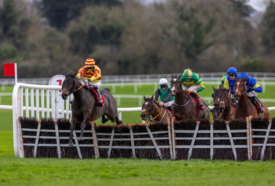 This will tell us whether to go for the Stayers' or Pertemps ...