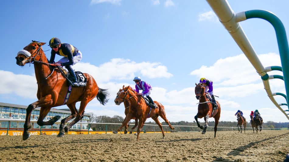 Trainer Tim McCarthy 'really upset' over accusations as hearing into ...