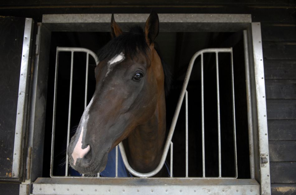 'We're delighted to get him back' - Derby hero Authorized to return to ...