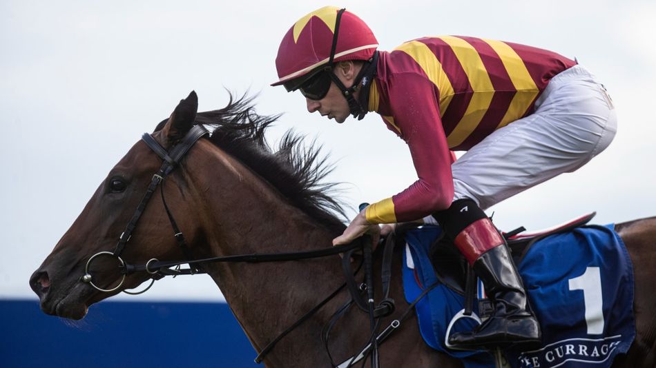 Confirmed runners and riders for Saturday's Flat season opener at the ...