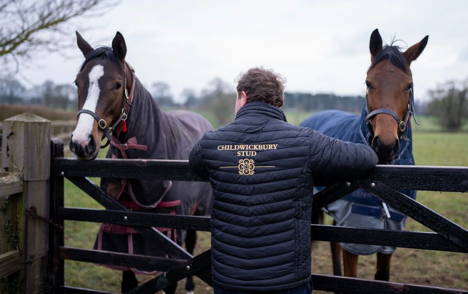 'I want to breed a Classic winner' - historic stud on the rise again ...