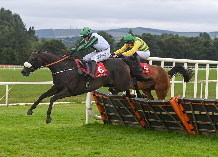 'He seems to be coming back' - Suprise Package keeps Peter Fahey's good ...