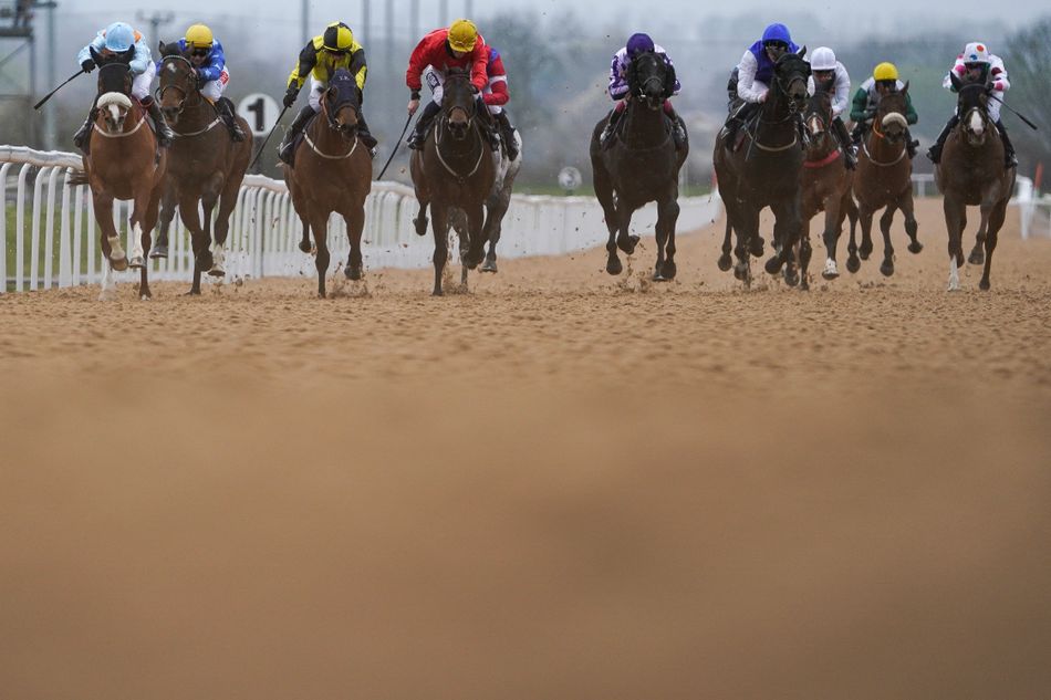 'I'm happy to be back out of the house and riding winners' - Curtis ...