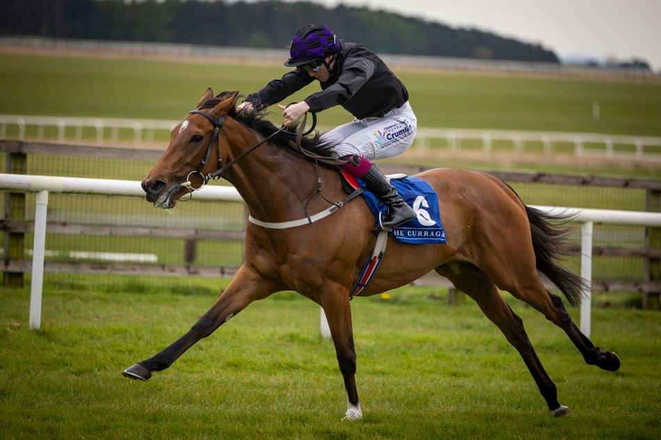 Sir Mark Prescott attempts to make another successful raid at the ...