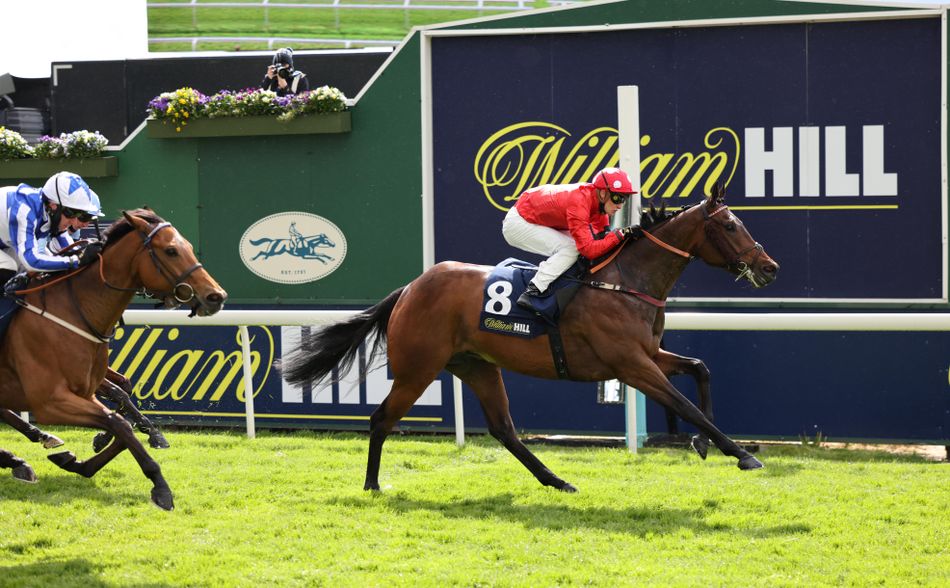 'He won so well' - Pendleton comes out of retirement to set up Ayr Gold ...