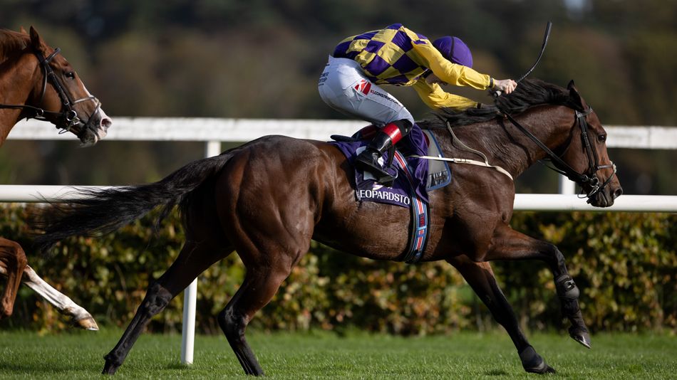 Can Power Under Me give Ger Lyons another Gladness Stakes? | Racing Post