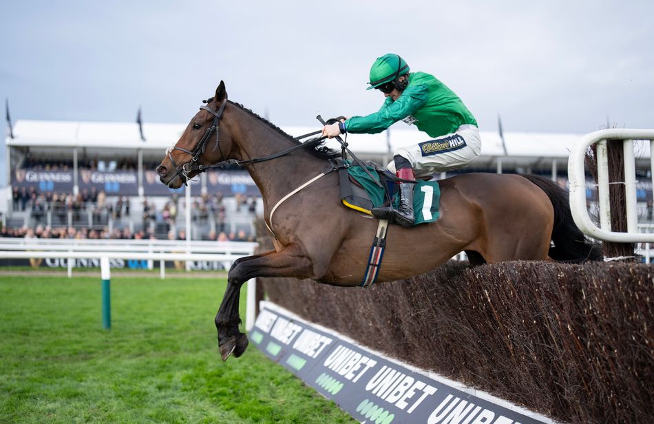 Can Matata justify Champion Chase entry? Analysis and quotes for £ ...