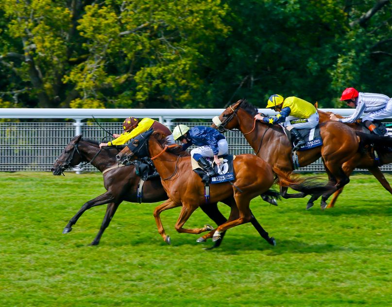 "It was heart attack territory!" - memories of a courageous mare who ...