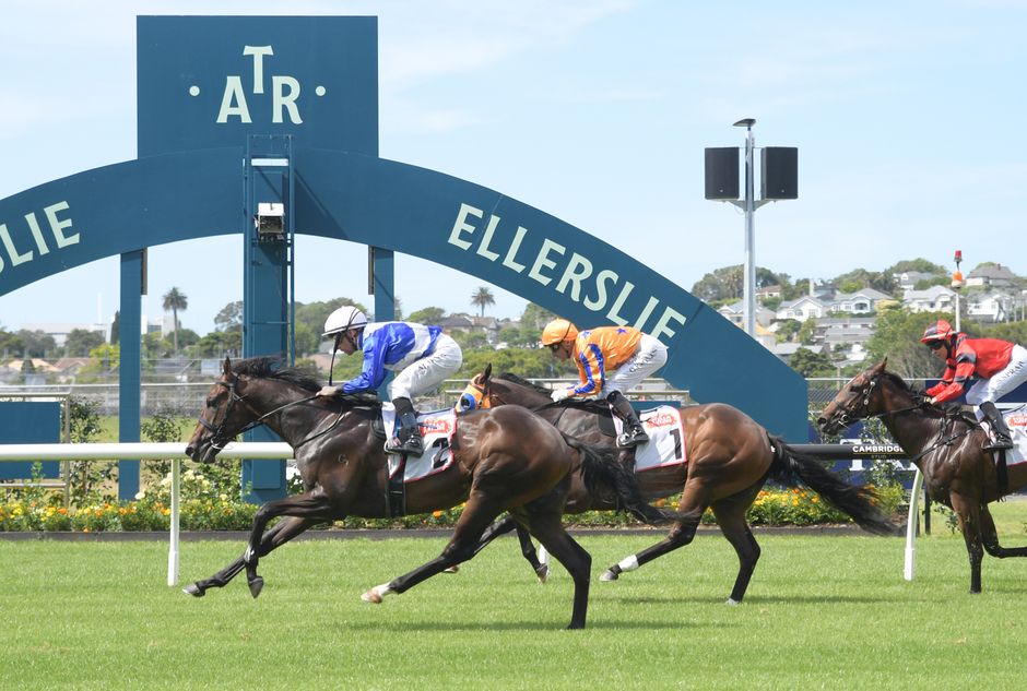 Ellerslie to host southern hemisphere's richest race for three-year ...