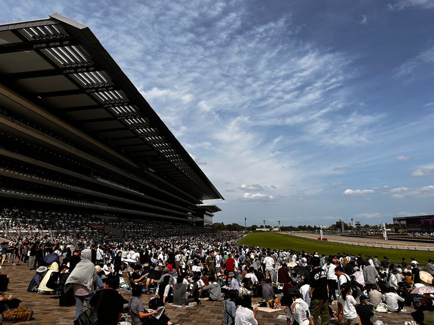 I went racing in Tokyo for the Japanese Derby - here's how it beats the ...