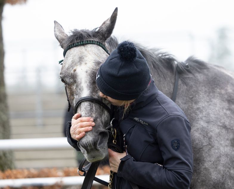 'The reaction has been huge' - buyers on the lookout for another Hewick ...