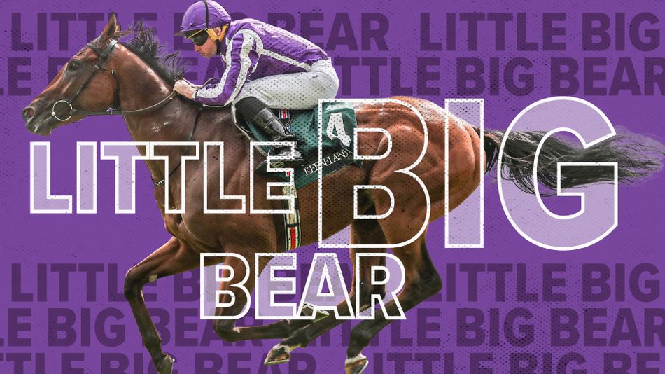 Champion juvenile Little Big Bear returns to sprinting - can the Sandy ...