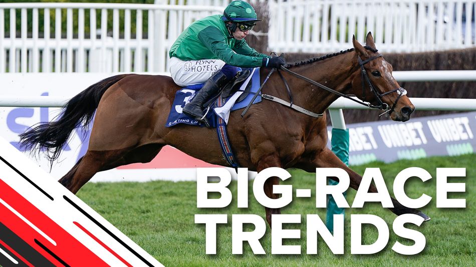 Big-race trends: key stats to help you find the Arkle winner | Racing Post